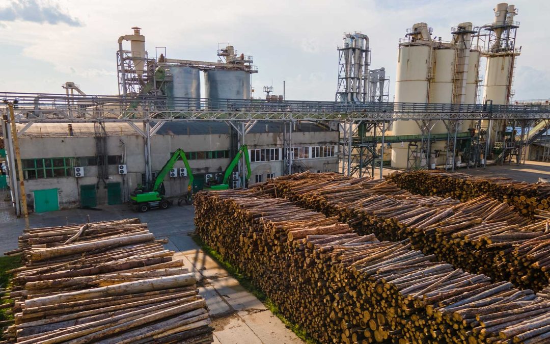 How to measure Moisture and Resin in MDF board - JWII