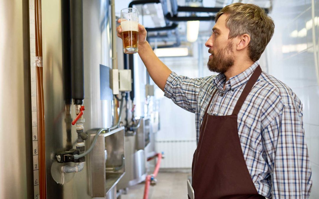 Beer blending and Wort cooking using in line analysers - JWII