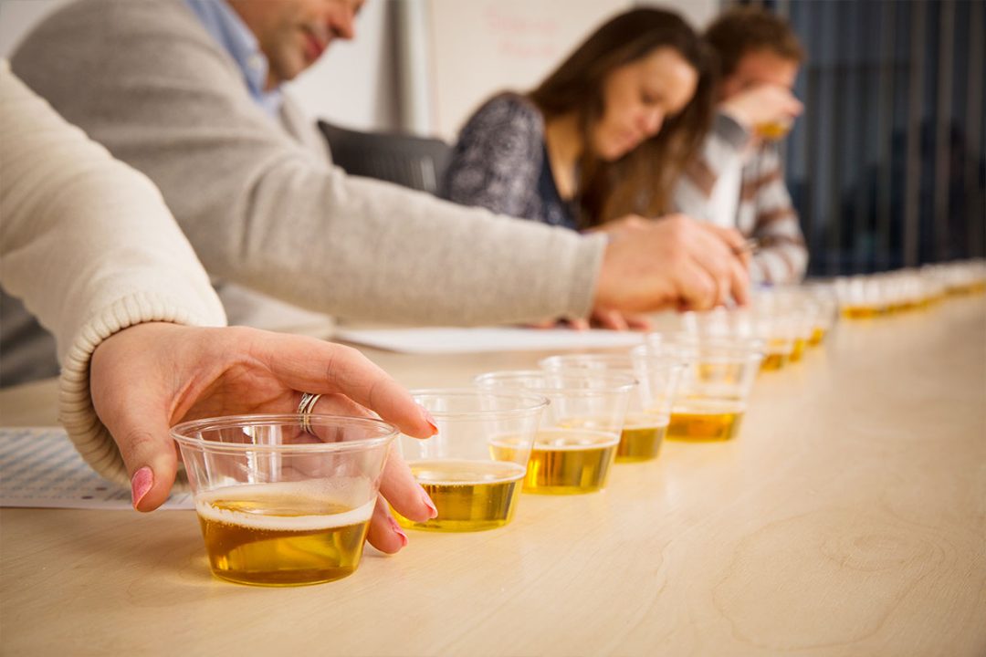 Sensory flavour standards and training | JWII